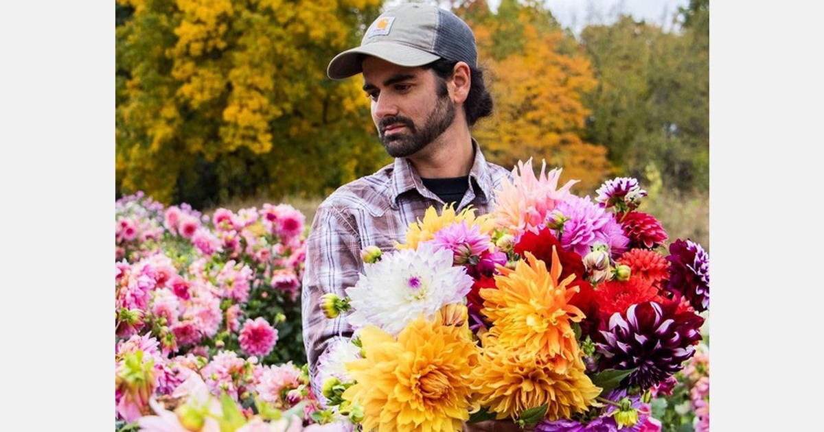 Dahlia fields to delight on family farm in Michigan