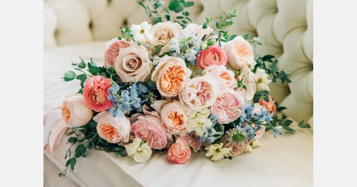 Introducing the winners of the 2022 Garden Rose design contest