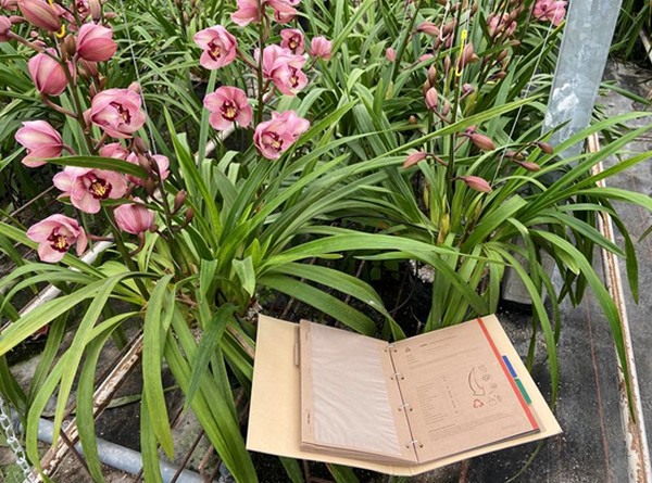 Koen Pack launches sample book with packaging materials