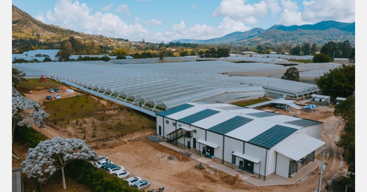 Colombia: Flores El Capiro expands with 28 ha and invests in solar panels