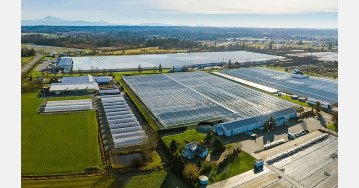 Sion starts exclusive partnership with Bevo Farms in Canada