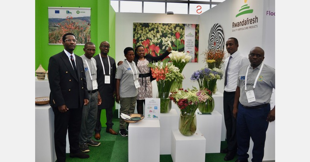 "IFTF2022, the Netherlands flora-hub, a gate for Rwandan flowers"