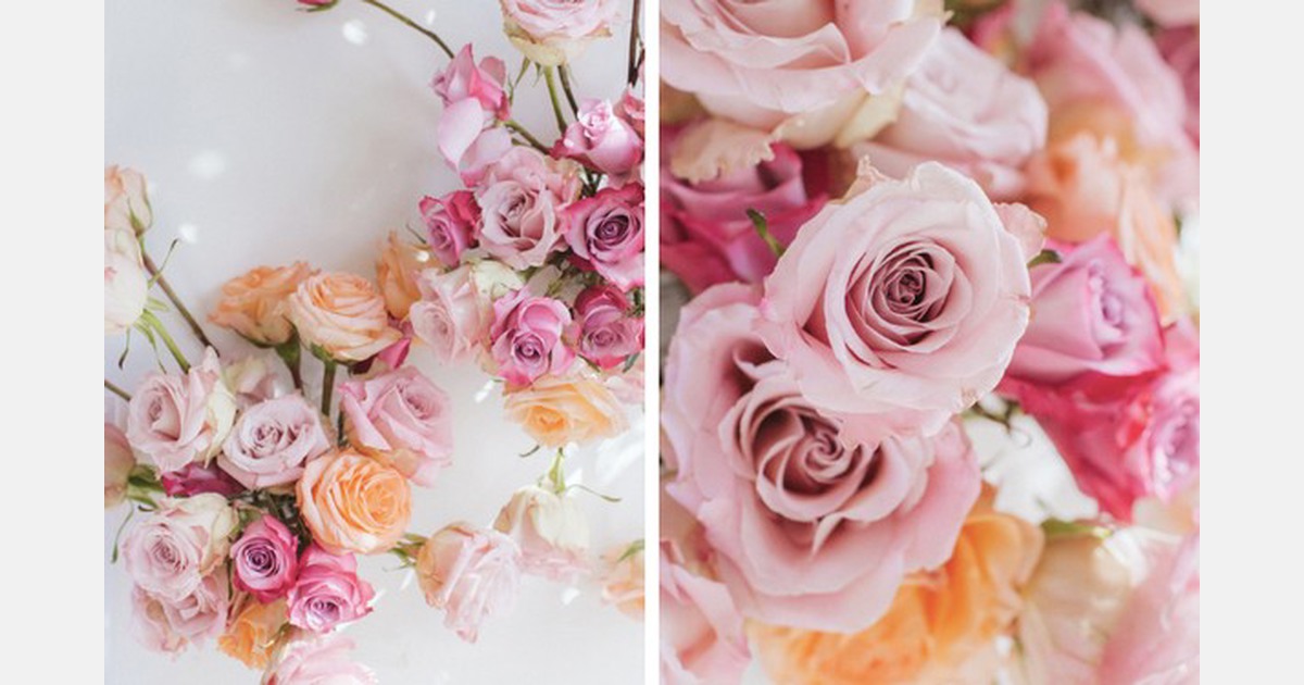 Details Flowers Software launches new partnership with Rosaprima