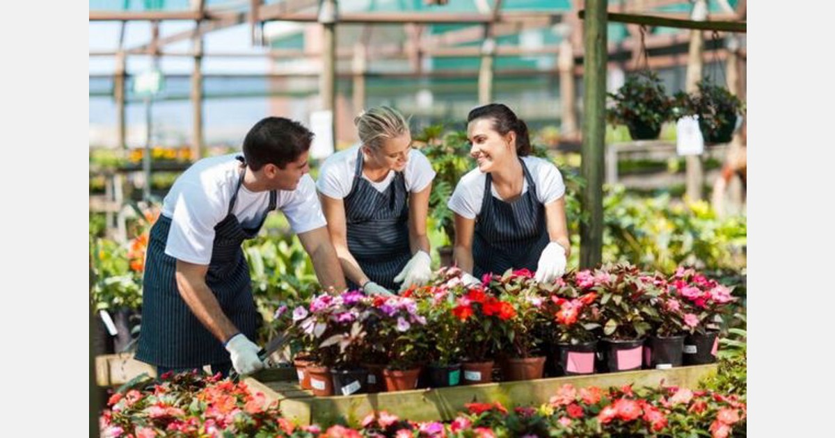 How to start a successful greenhouse business