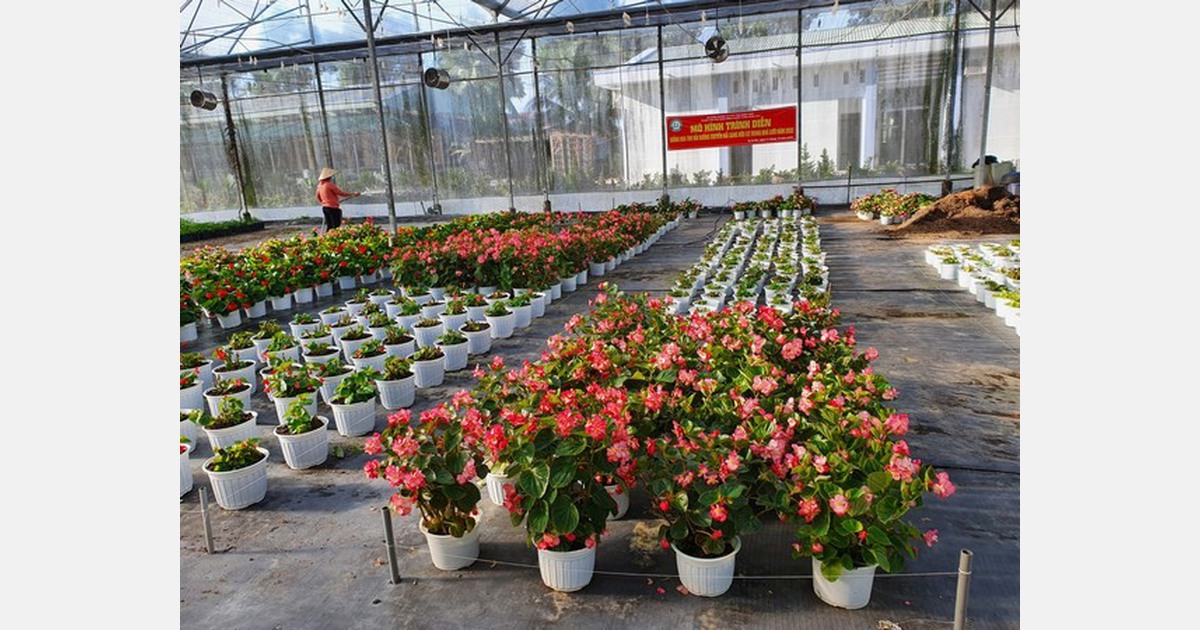 Netherlands Vietnam Horticulture Business Platform visits Ag ...