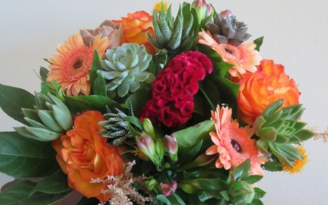 Deroose introduces Sticculents in the USA