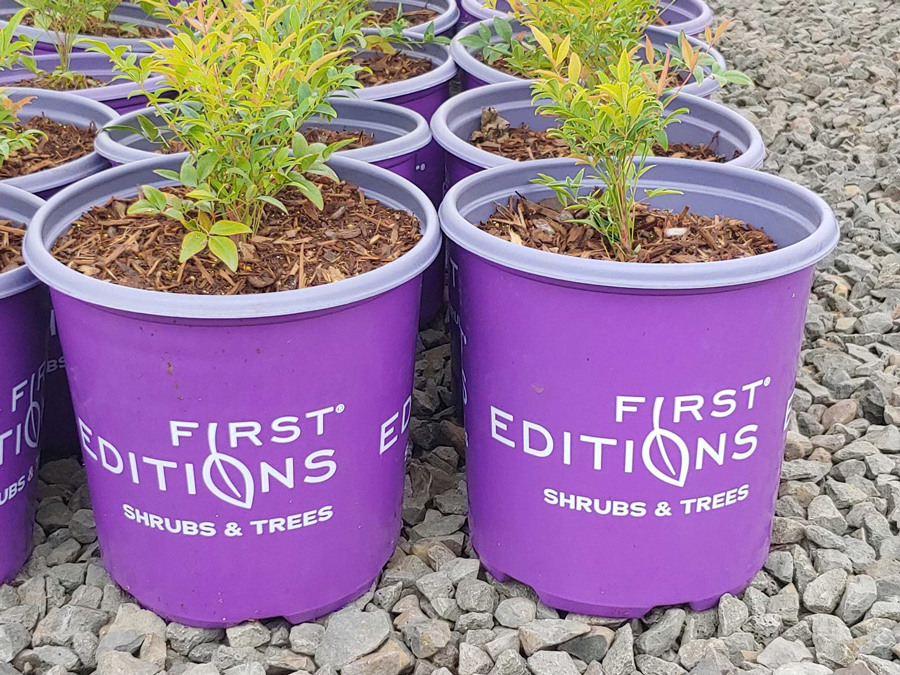 Custom and branded plant pots – "the differentiator you need"