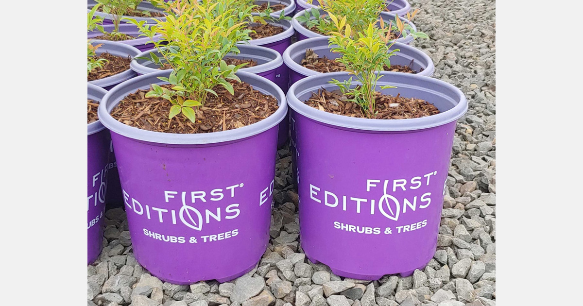 Custom and branded plant pots – "the differentiator you need"