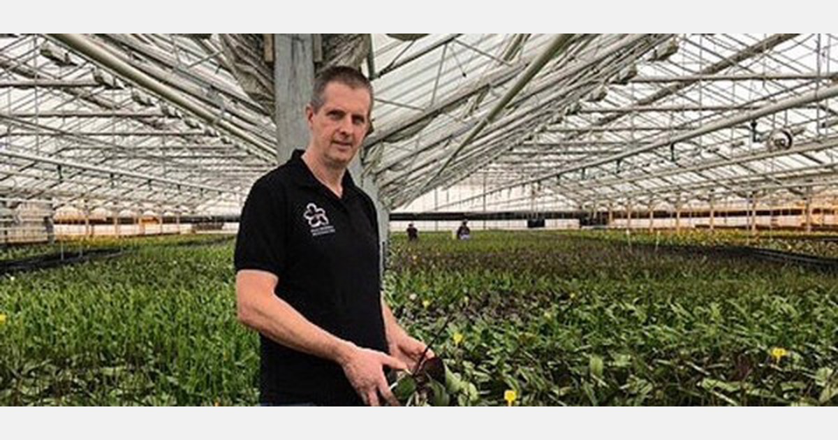 Differences between reflecting light and heat