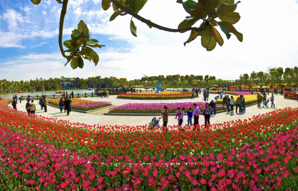 Shanghai Flower Port: Celebrates 20th Anniversary with Flowers