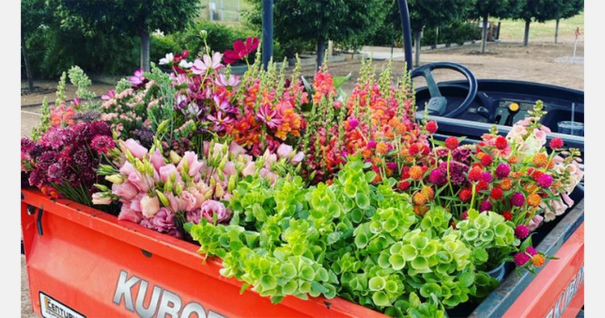 Cropping Up: Ride the farming wave with Utah horticulturalist Sheridan ...