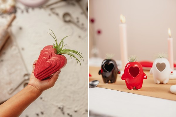 LiveTrends Design Group unveils Valentine's Day 2024 collection