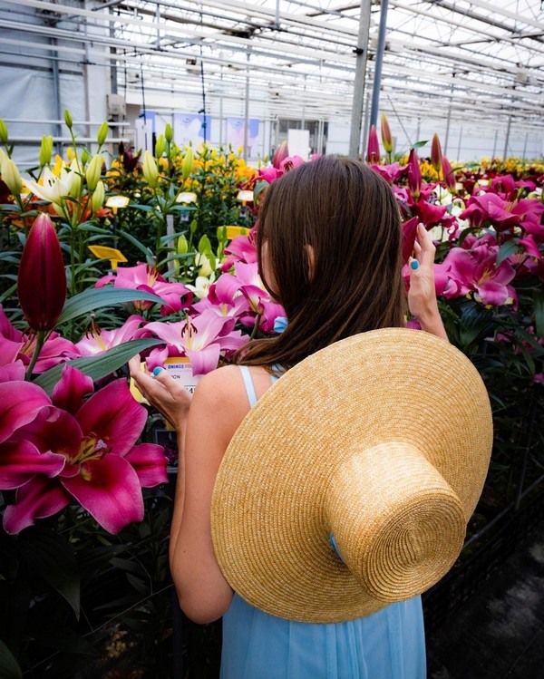 Lily League is the voice of the Dutch Lily Days