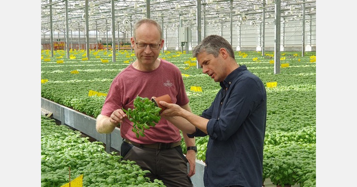 Scandinavia and its green ideology