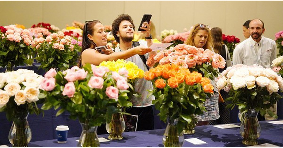 US: SAF adds breeder category to outstanding varieties competition