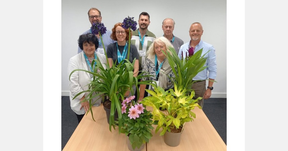 UK: Curcuma Skyline wins Best in Show at New Plant Awards at the HTA ...