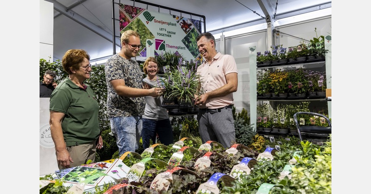 "A brimming green range"