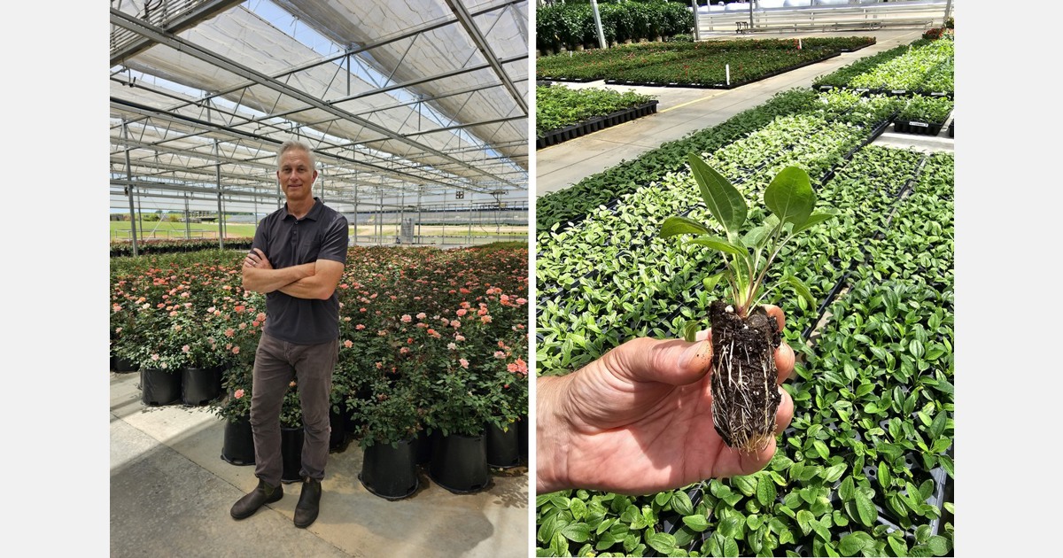 "Faster rooting, shorter crop times"