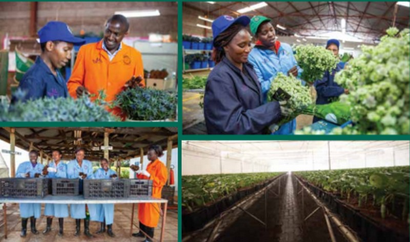 Kenya Flower Council presents Annual Report
