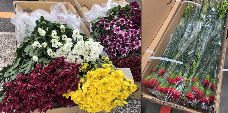 Daikin collaborates with the industry to convert flower shipments from ...