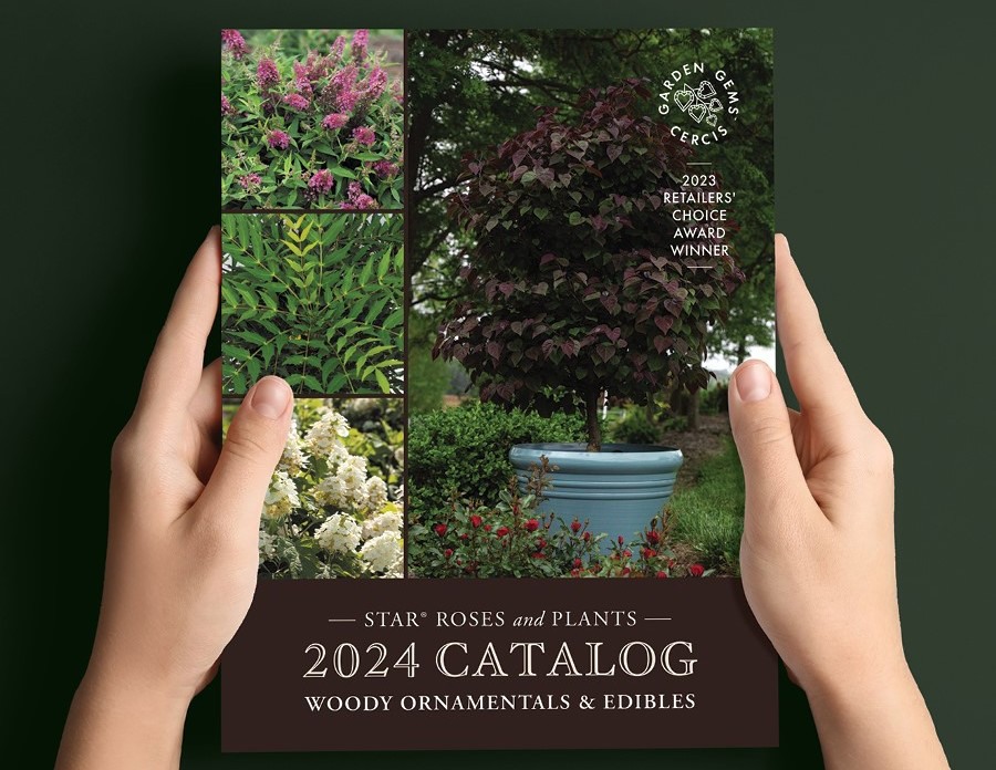 Star Roses and Plants unveils 2024 woody ornamentals and edible catalogs