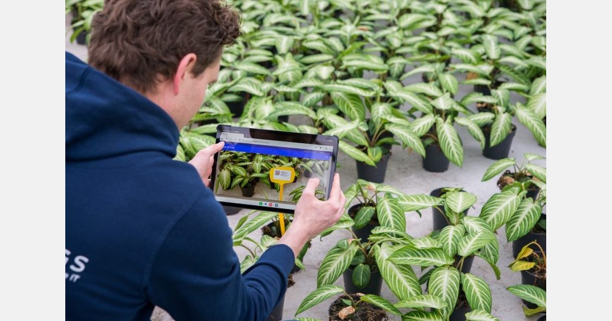 Growing better with Greenie: Optimize yield in your greenhouse with one ...