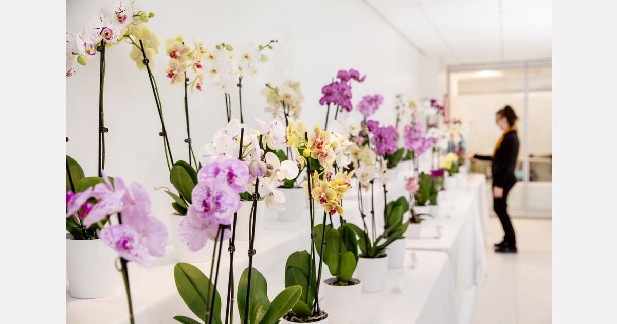 Sion Open took place for the first time in Edmonton Canada