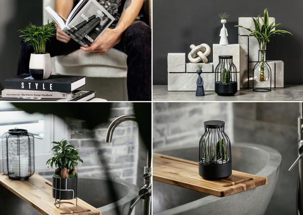 LiveTrends Design Group unveils decorative accessories for 2024
