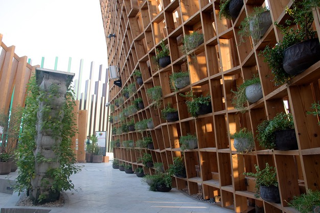 AIPH Pavilion showcases intelligent plant selection for challenging ...