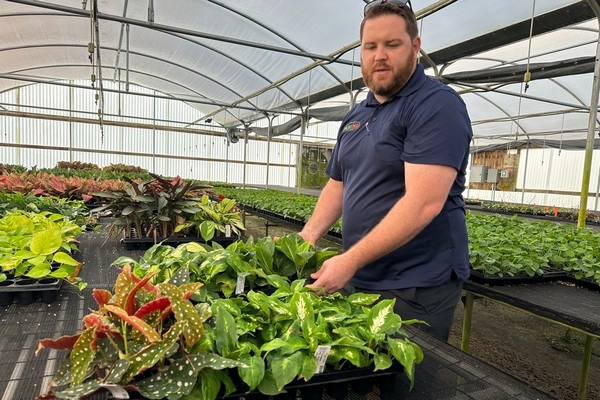 Danziger Partners with Moss Hill Foliage for Floresta program