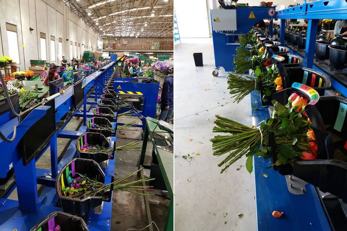 "Producing twisted bouquets on a machine with fewer workers"