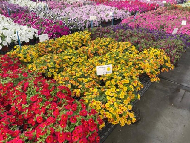 Danziger brings the 2025 season to life