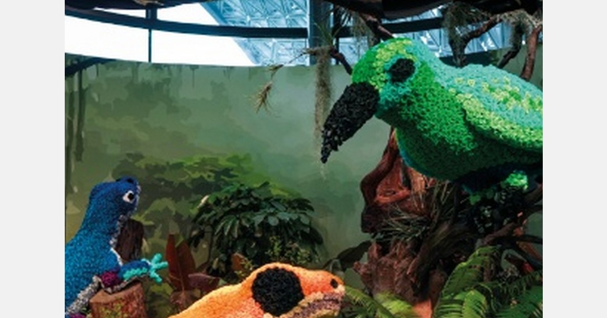 Singapore: Flowers that come to life at Gardens by the Bay