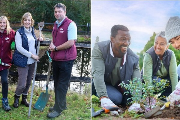 UK: Garden center launches new community garden program