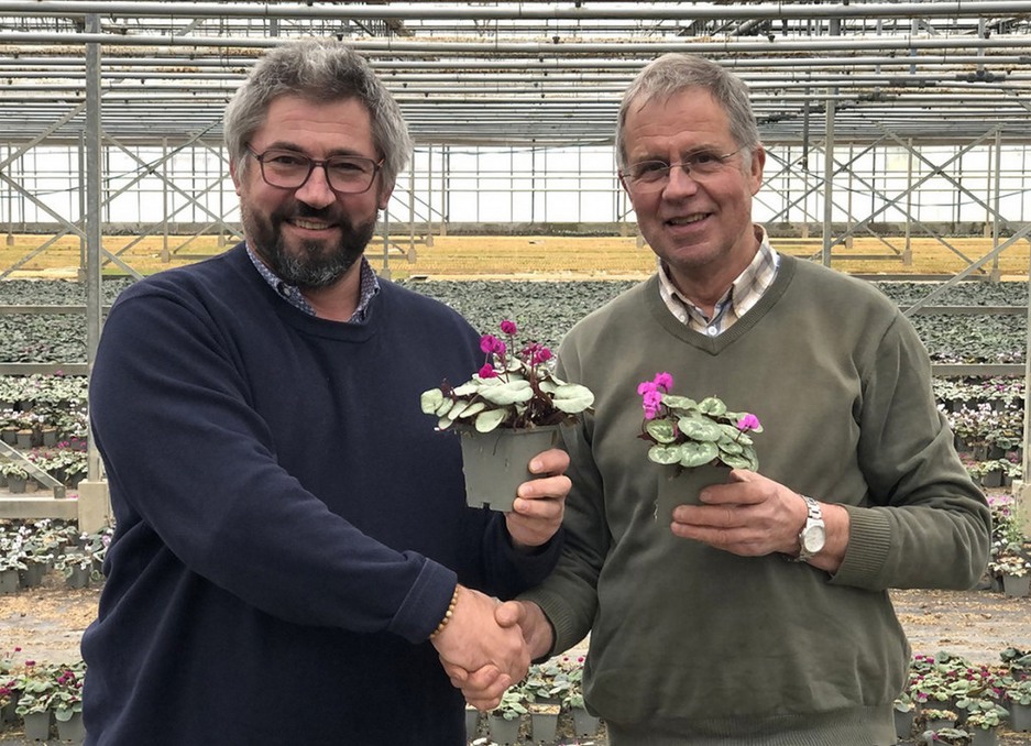 Morel acquires Dutch nursery Kwekerij Koen