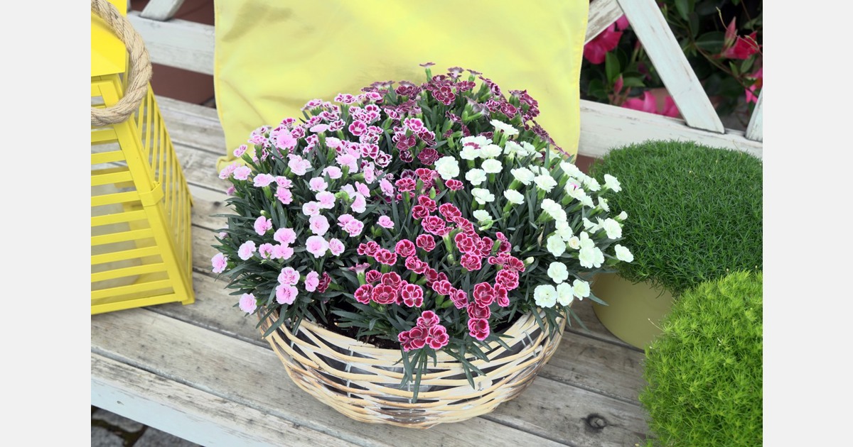 "A world premiere at IPM 2024"