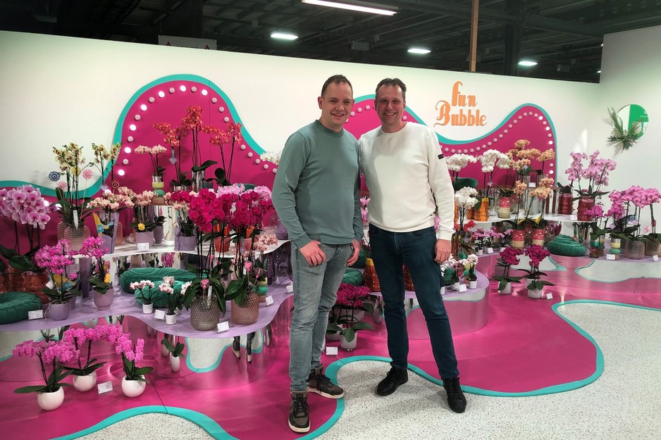 Deroose Plants and Sion Young Plants to start exclusive Phalaenopsis ...