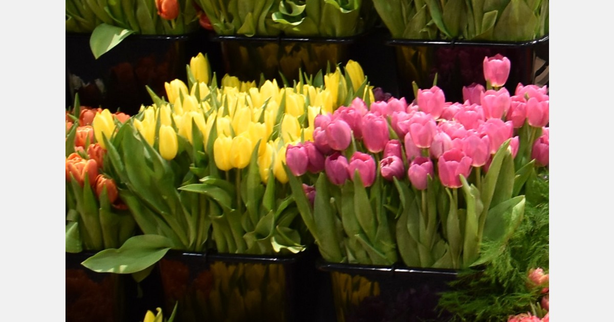 Lendway acquires Bloomia