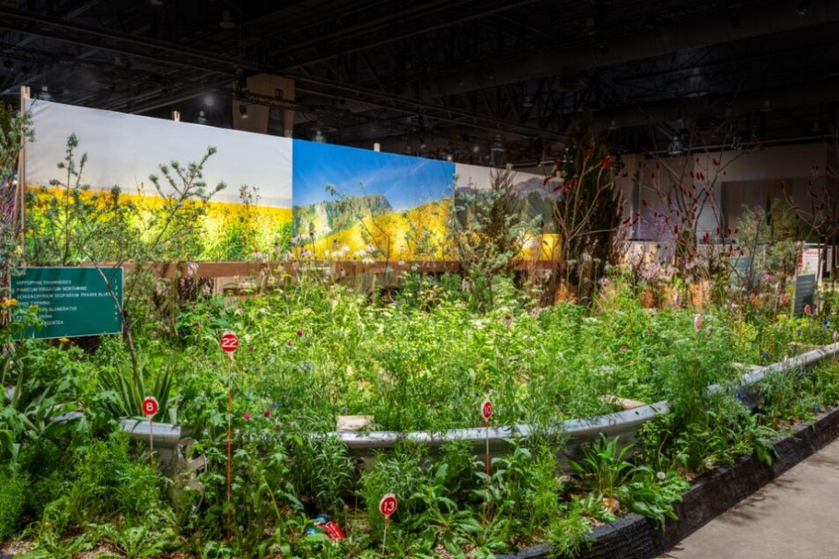 Pennsylvania Horticultural Society announces award winners for 2024 ...