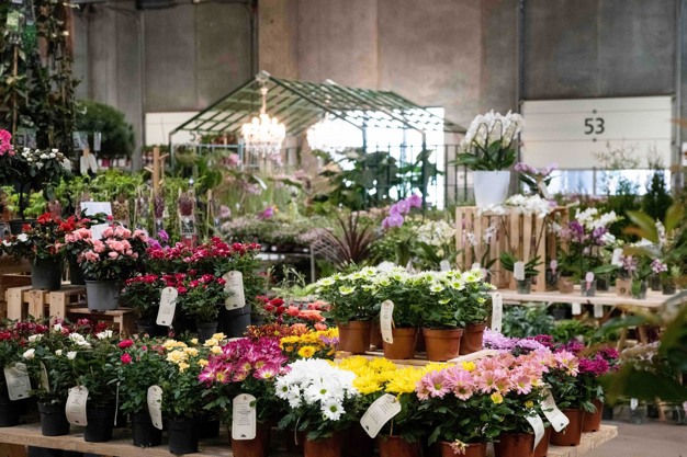 Denmark: Large selection at GASA Group's Spring Fair in Odense ...