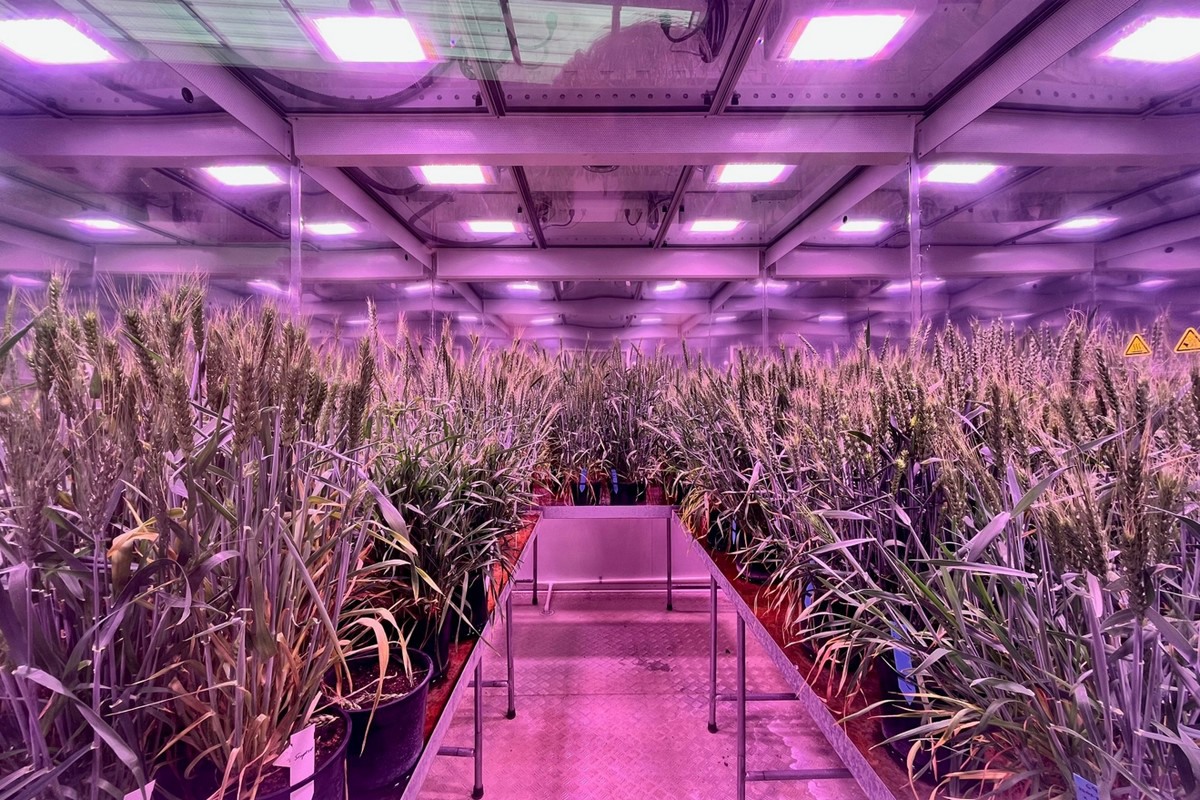 Conviron celebrates 60th anniversary