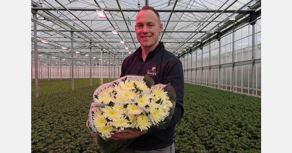 Dekker adds Topspin Cream to Topspin family