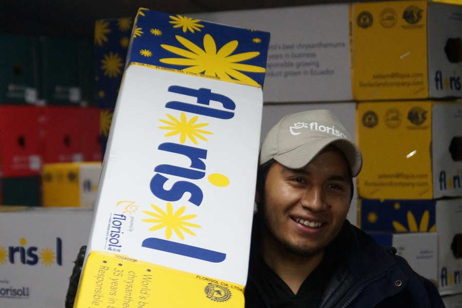 "We preferred to move forward step by step"