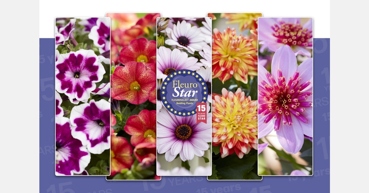 Five plants competing for FleuroStar