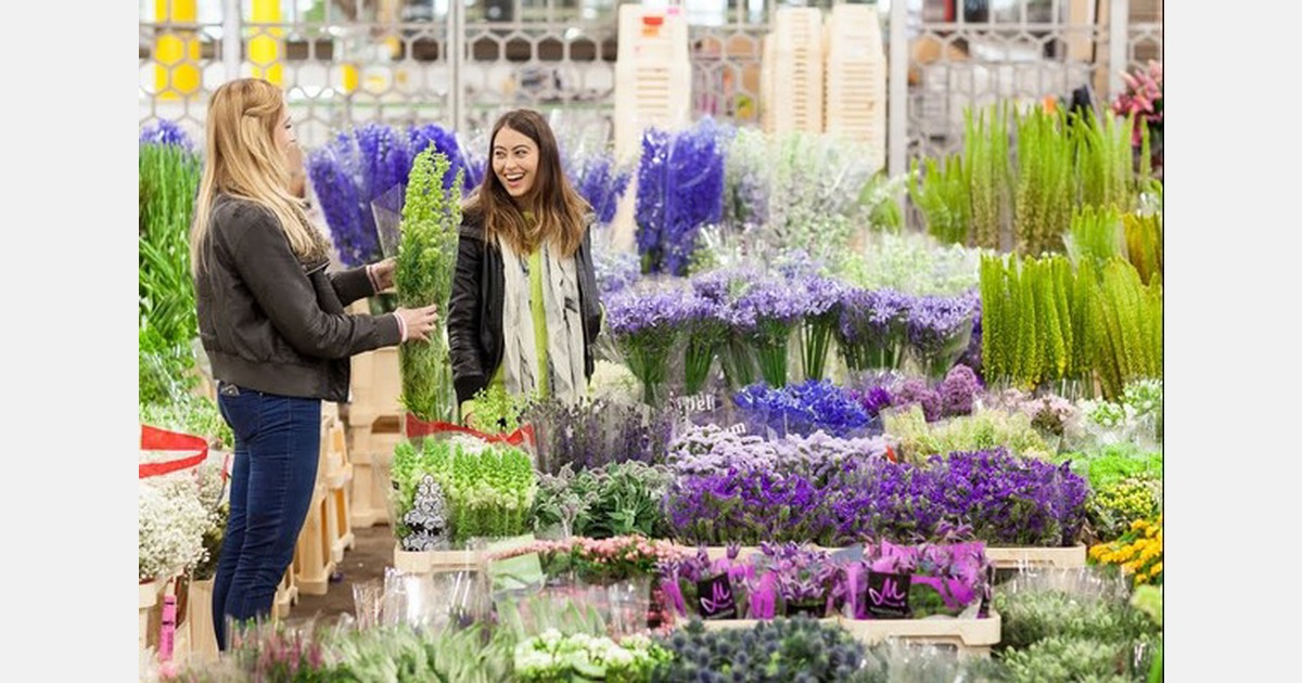 UK: Fiona Fell reappointed to Covent Garden Market Authority board