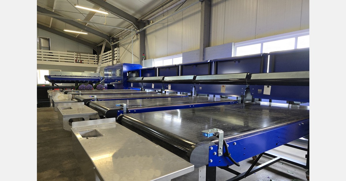 4More Technology to showcase IRISS Hydrangea sorting machines at ...