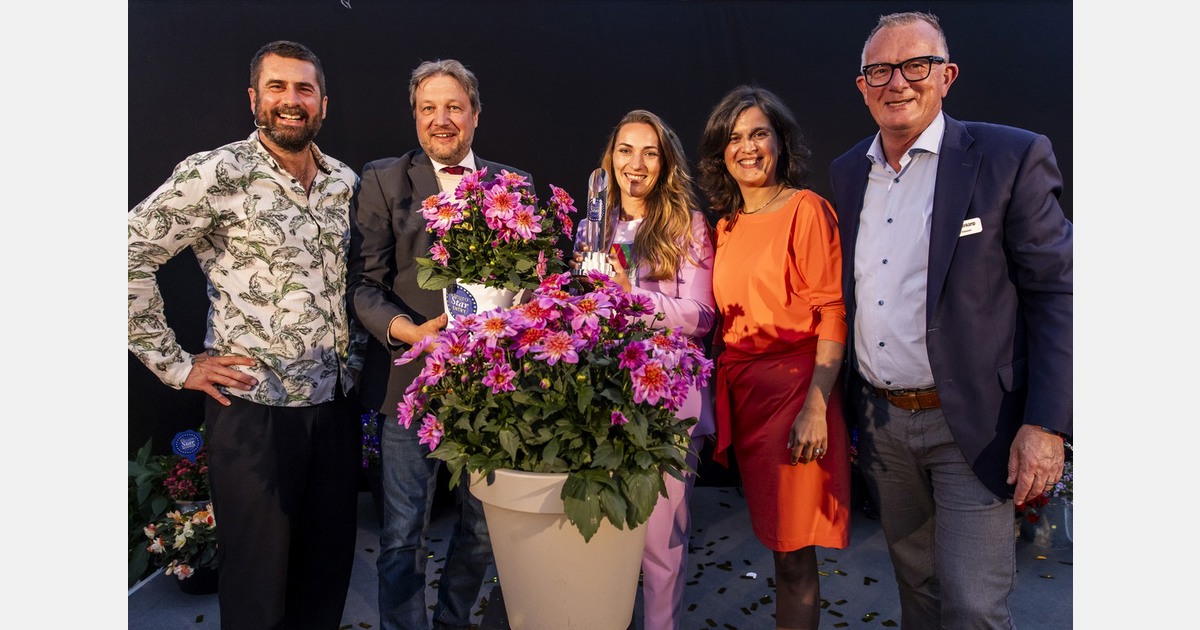 Dahlia Dalina Maxi Starburst Pink wins FleuroStar 2024-25