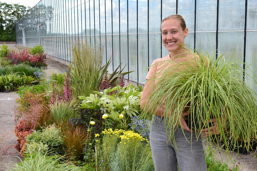 UK: Tatton ‘Long Border’ designs sponsored by Wyevale Nurseries