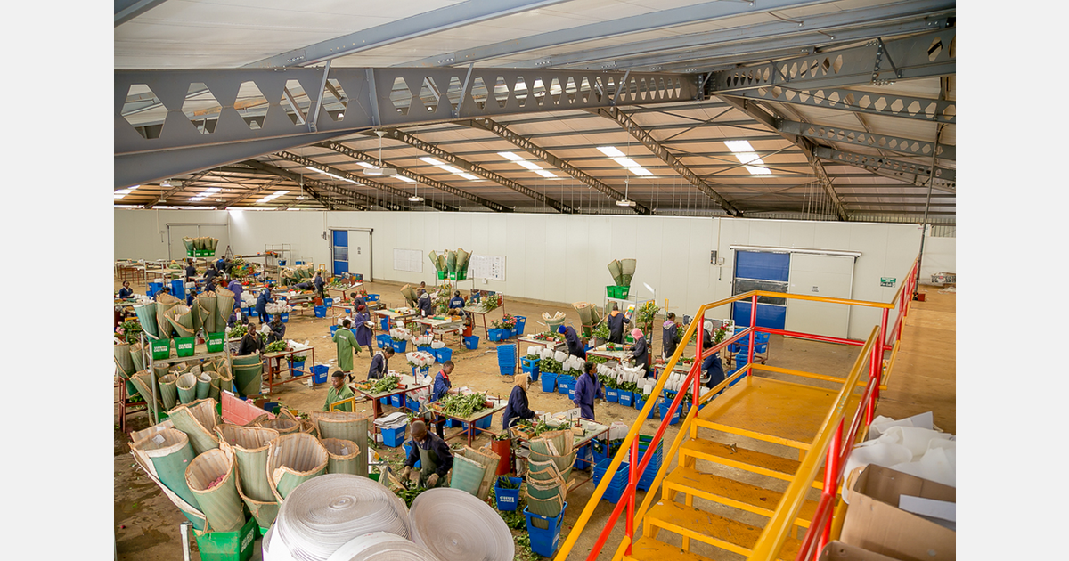 Celtic continues operations in Kenya, Ghana, and Ethiopia