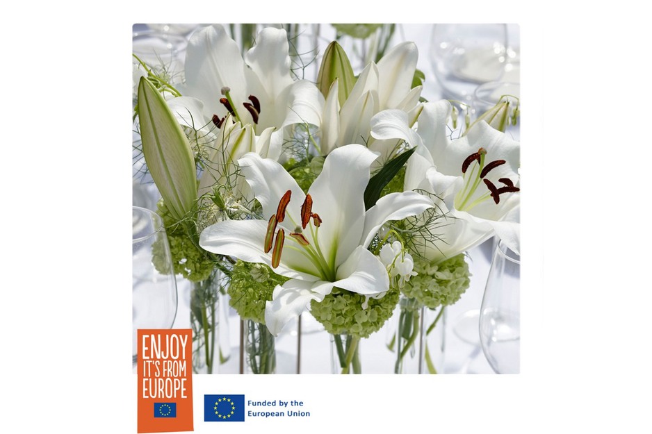 Royal Anthos partners with Slow Flowers Society in lily farming